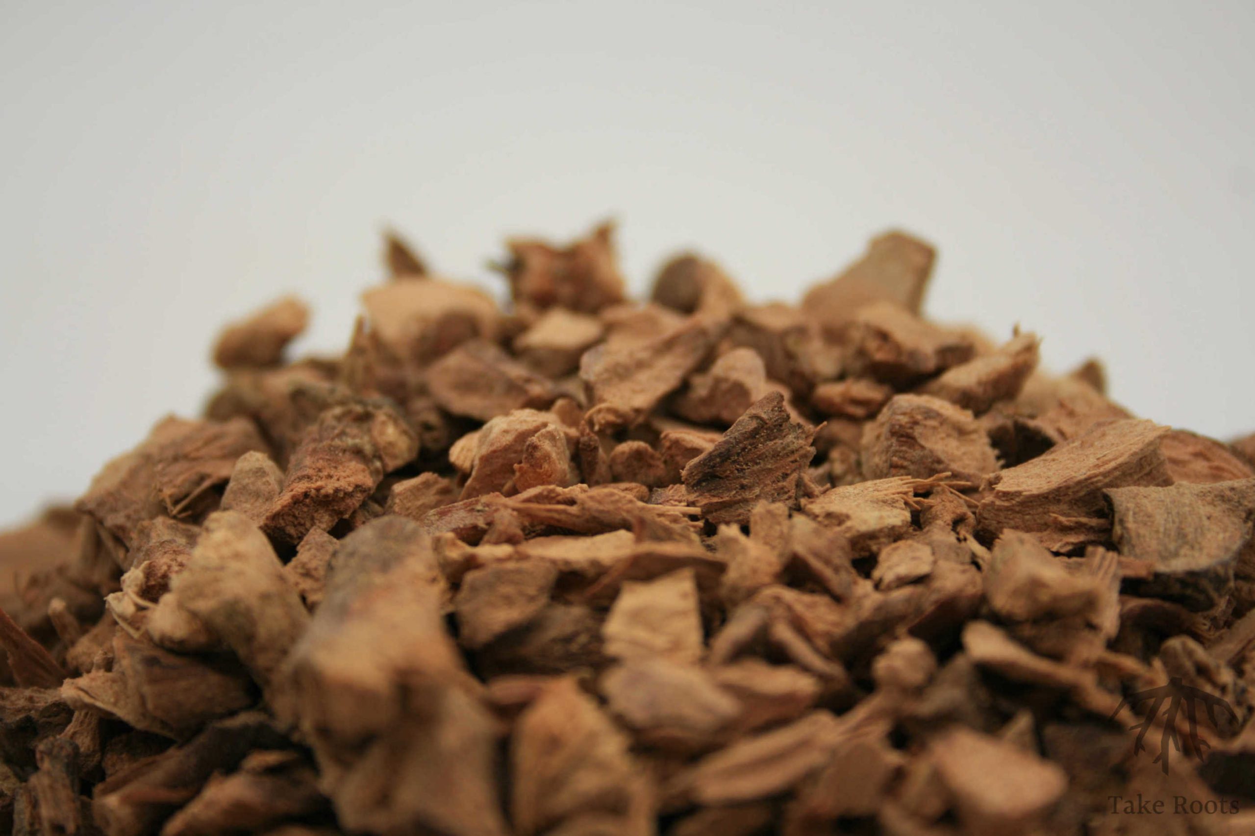 Galgantwurzel (Alpinia officinarum) | Take Roots | Räucherwerk und ...