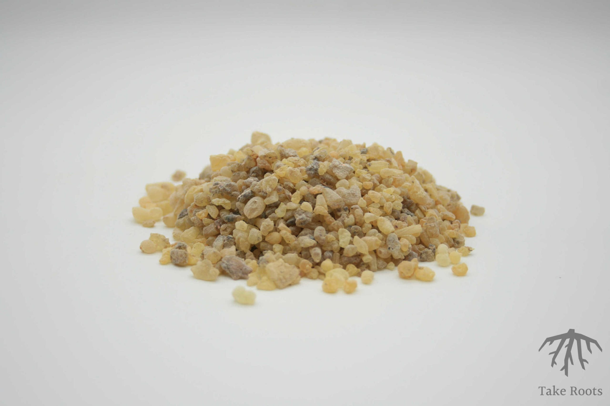 Indian frankincense (Boswellia serrata) | Take Roots | Räucherwerk und ...
