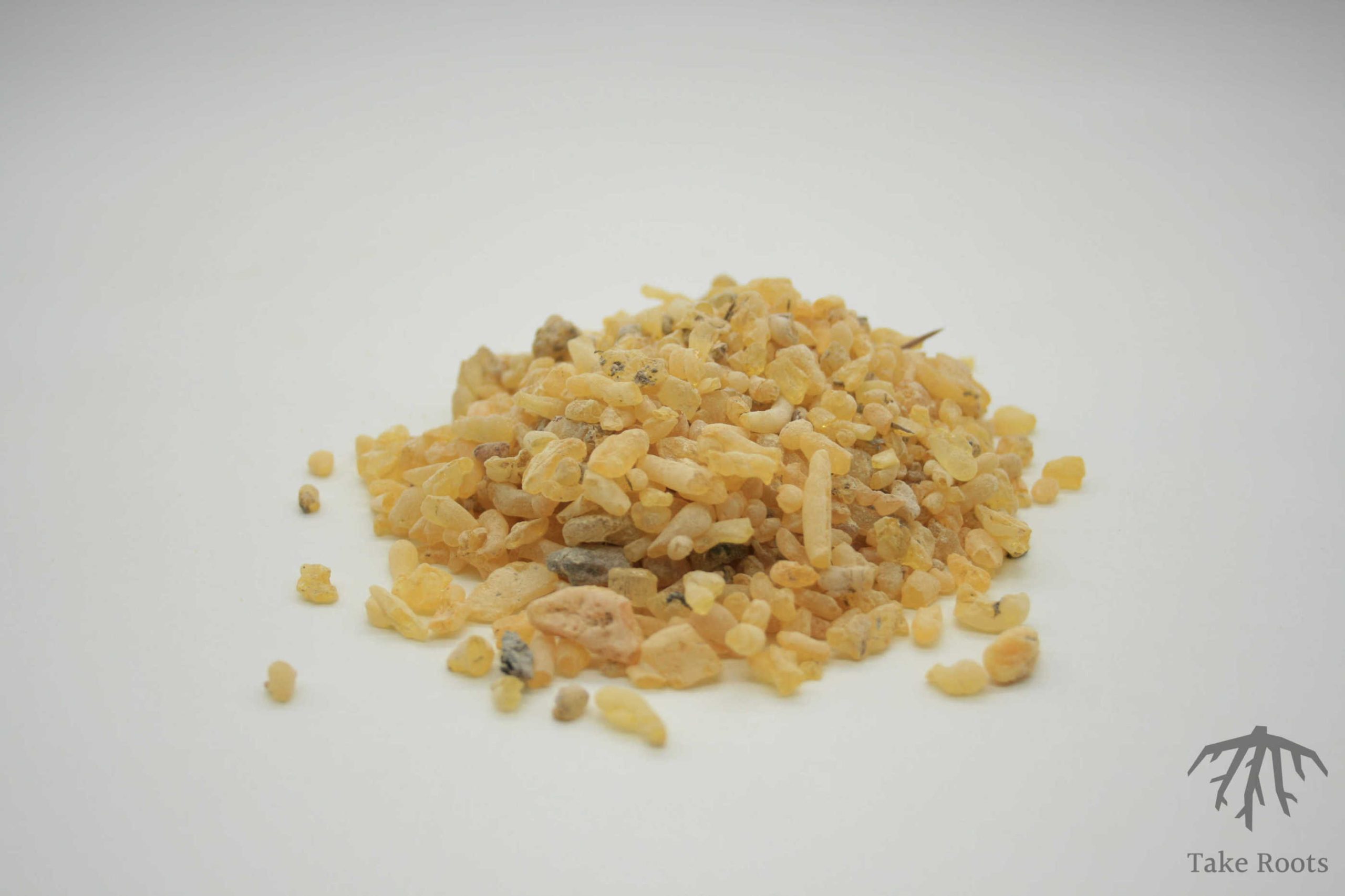 Sandarac (Resina sandaraca) | Take Roots | Incense and frankincense ...