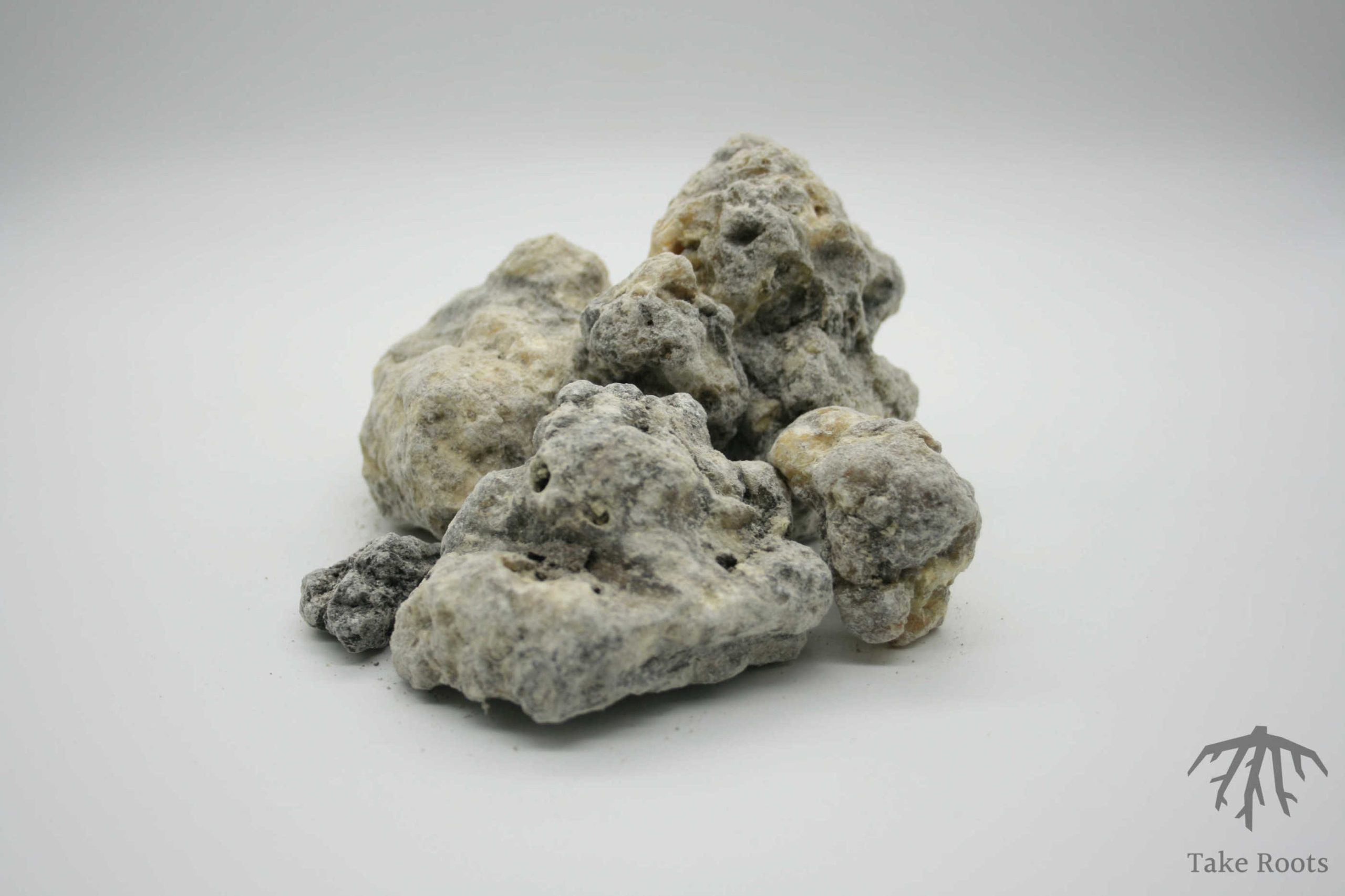 Copal negro (Bursera microphylla) | Take Roots | Incense Wholesale